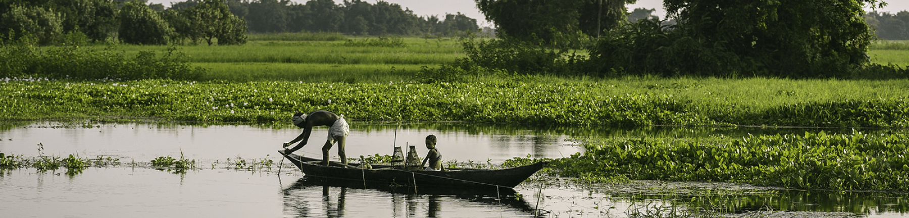 From survival to sustainability: Assam paves a new path | Oxford Policy ...