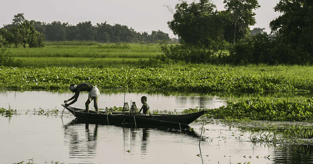 From survival to sustainability: Assam paves a new path | Oxford Policy ...