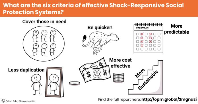 Shock-Responsive Social Protection: findings from our global study ...